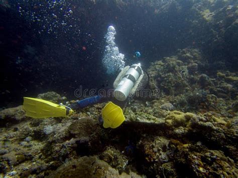 A Scuba Diver Is Blowing Air Bubbles And Swimming Past Beautiful Corals