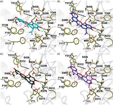 Comparison Of Binding Conformation Between Each Compound A D