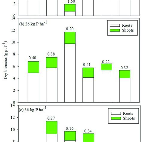 Biomass Productivity And Shoot To Root Ration At Harvesting Following P Download Scientific