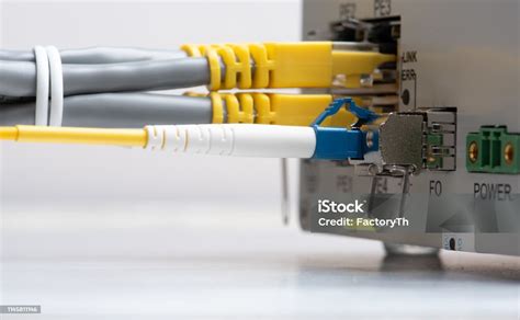 광섬유 및 네트워크 이더넷 패치 코드 케이블 스위치에 연결 0명에 대한 스톡 사진 및 기타 이미지 0명 개념 네트워크 서버 Istock