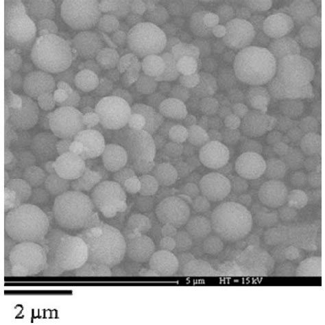 Typical Scanning Electron Microscopy Image Of Coreshell Nanoparticles Download Scientific