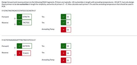Solved Design Forward And Reverse Primers To The Following Chegg Com