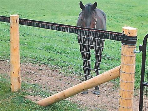 Коя е най добрата ограда за градината и добитъка Български Фермер