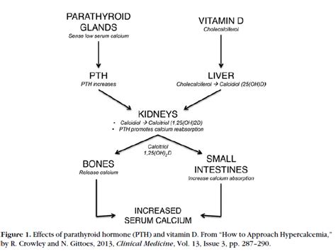 hypercalcemia how to approach frontiers mineral and bone disorders