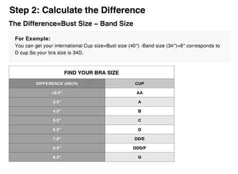 How To Find Bra Size By Measurements For Cup Sizes Yvette