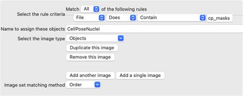 Import Cellpose Segmentation Into Cellprofiler As Objects Usage And Issues Imagesc Forum