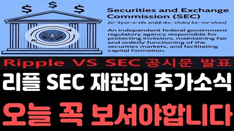 리플전망 리플 Sec재판 소송전 추가적인 소식 나왔습니다 오랫동안 기다려온 소식 오늘 영상은 꼭 보셔야합니다 리플전망