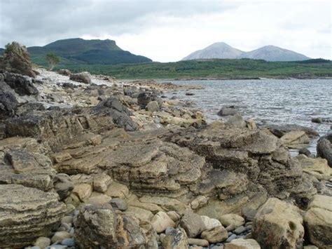 Rock Outcrops Uk Fossil Collecting