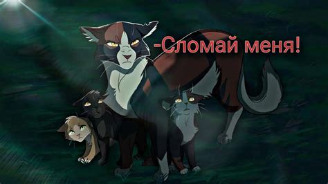 Кленовница Коты Воители Клип Youtube