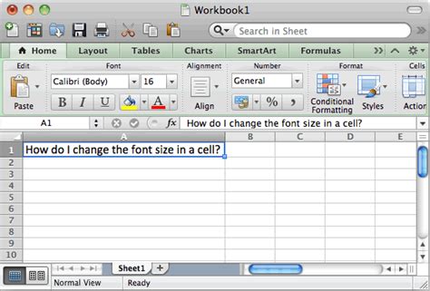 MS Excel For Mac Change The Font Size In A Cell