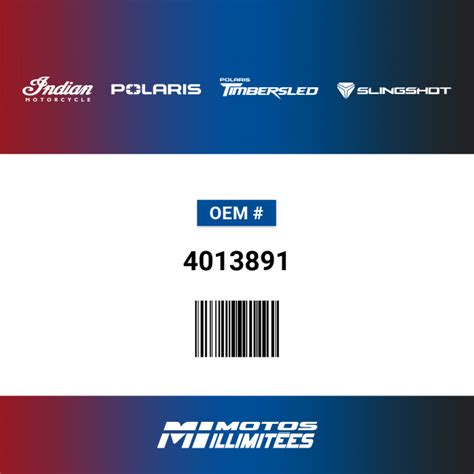 Polaris Indian Cartridge Fuse 4013891 Fortnine Canada