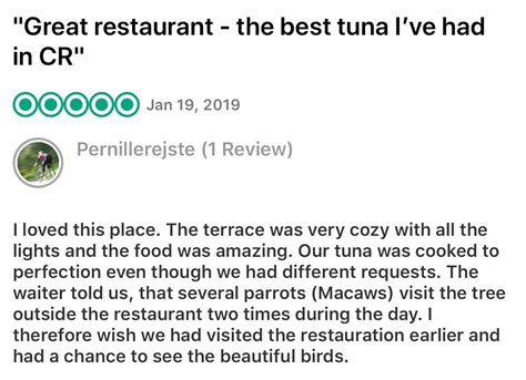 Kapi Kapi A Fusion Of Flavors In Manuel Antonio