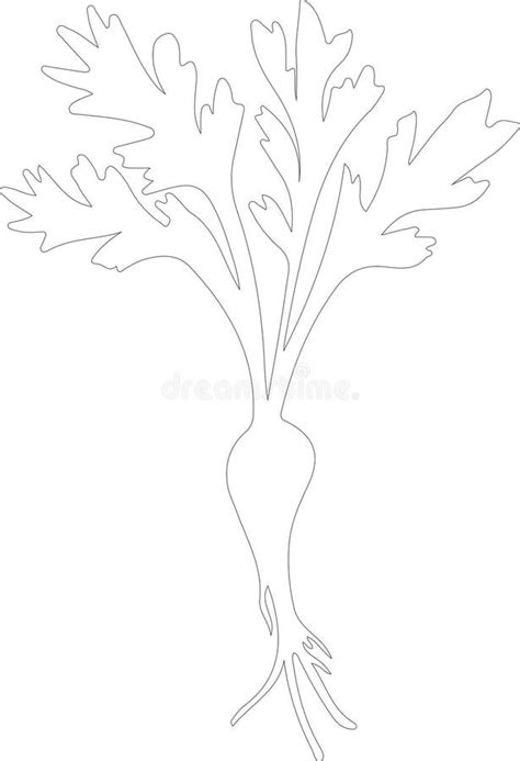 Parsnip Outline Silhouette Generative Ai Stock Vector Illustration Of