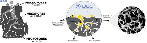 Activated Carbon Pore Structure Heat And Mass Transfer In Activated