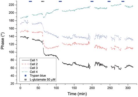 Cellular Phase Signal Monitoring Over Time Of The Phase Signal On