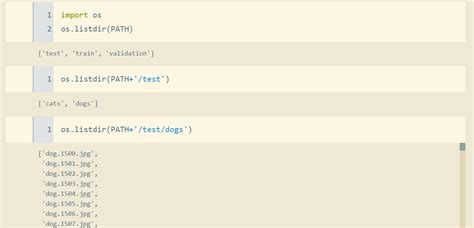 Strange Error While Reading Data Beginner 2018 Fastai Course Forums