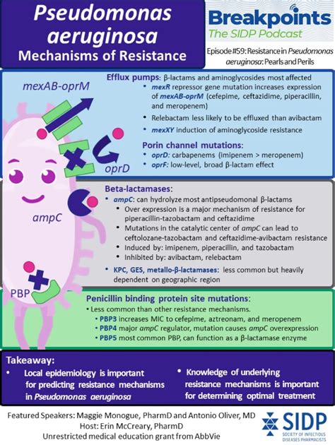 59 Resistance In Pseudomonas Aeruginosa Pearls And Perils Breakpoints The Sidp Podcast