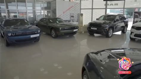 დოჯი ოფიციალურად საქართველოში დილა მშვიდობისა საქართველო 2023 07 18 Youtube