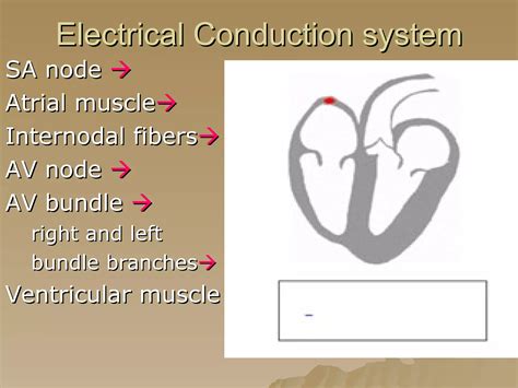 Hemodynamics Basic Concepts Ppt