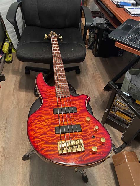 Warmoth 5 String Bass Reverb