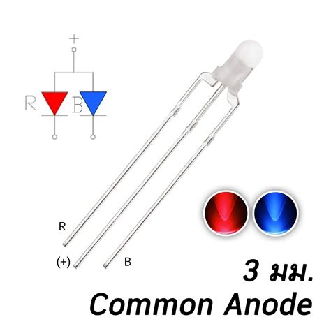 5 ดวง Rgb Rg Led ไดโอดเปล่งแสง 3 มม 5 มม Common Anode Cathode Bright