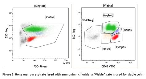 International Clinical Cytometry Society
