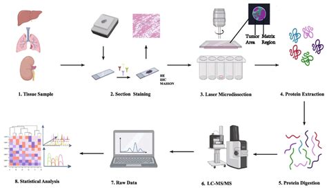 Spatial Proteomics Solutions Creative Bioarray