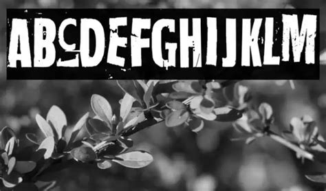 Nothing Clean Font Free Download Ttf Otf
