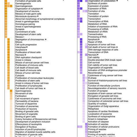 Molecular Functions Of Differentially Expressed Genes DEGs And Download Scientific Diagram