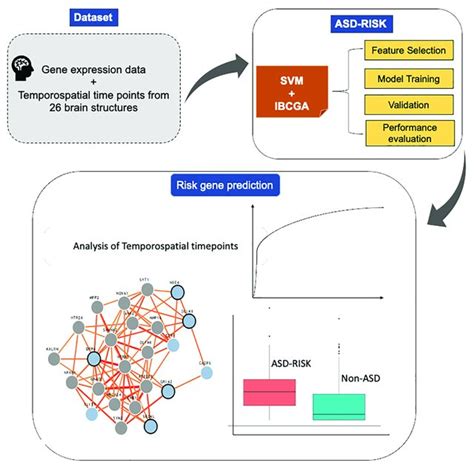 System Flowchart Of The Proposed Asd Risk Download Scientific Diagram