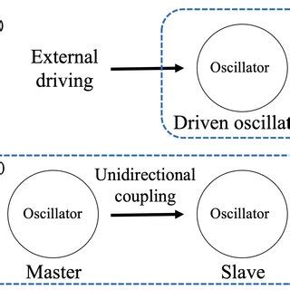 Schematic Figures Of A An Oscillator Driven By An External Driving Download Scientific