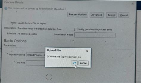 Soalicious Erp Import Ap Invoice Using Fbdi Files From Erp Scheduled