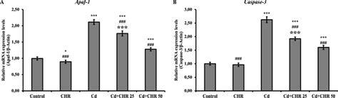 The Mrna Transcript Level Apaf 1 And Caspase 3 In The Testicular Download Scientific Diagram