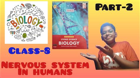 🙂nervous System In Humans 🤯class 8icsepart 2 Youtube