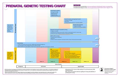 Prenatal Genetic Testing Chart Genetic Testing Genetic Testing Pregnancy Chart Infographic