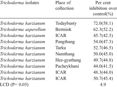 In Vitro Efficacy Of Trichoderma Spp Against Pythium Aphanidermatum Download Scientific Diagram
