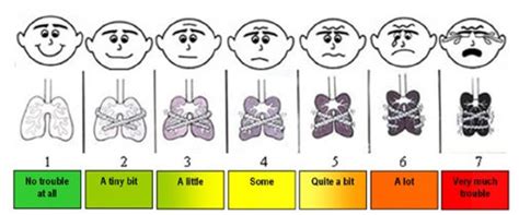 Pediatric Dyspnea Scale Fonte Khan Et Al 2009 Download