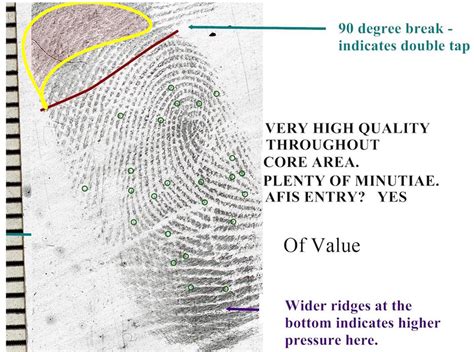 Latent Fingerprint Definition Forensics At Jerome Weeks Blog