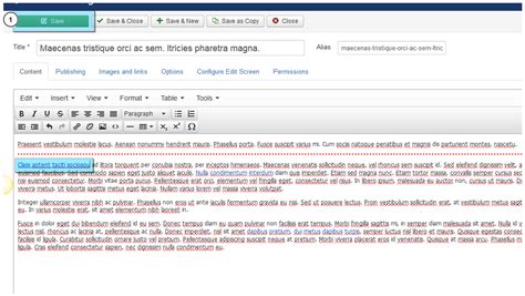 Joomla 3x How To Insert A Link Into An Article Template Monster Help
