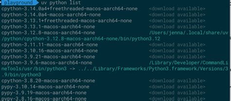 Managing Python Versions And Packages With `uv`