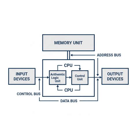 Cpu Components And Functions A Level Computer Science Bobr Ai
