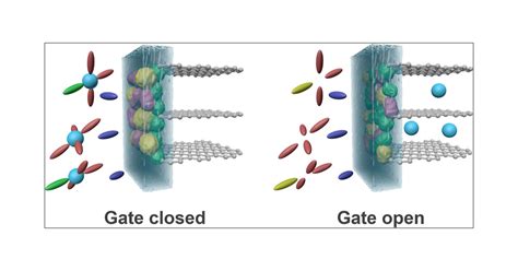 Reversible Switch In Charge Storage Enabled By Selective Ion Transport In Solid Electrolyte