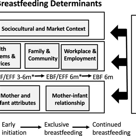 Breastfeeding Conceptual Framework For South Africa 8 Download Scientific Diagram