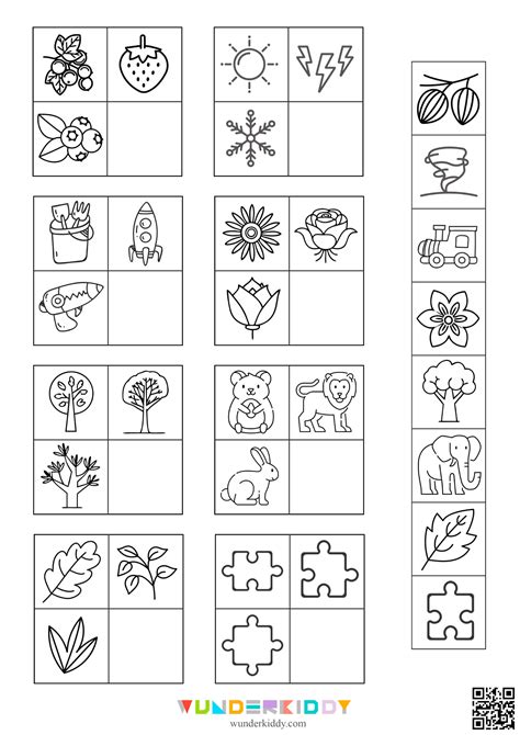 Printable Categorization Worksheets For Preschool Learning