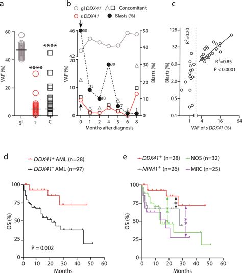 Treatment Response And Overall Survival Os Of 28 Ddx41 Mutant Aml
