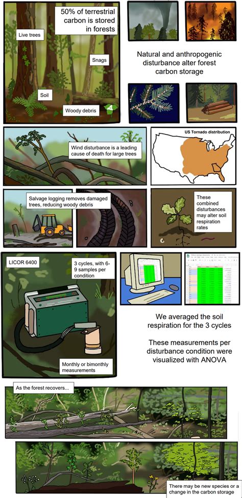 A Graphical Illustration Of Research Using Comic Panels Presented By