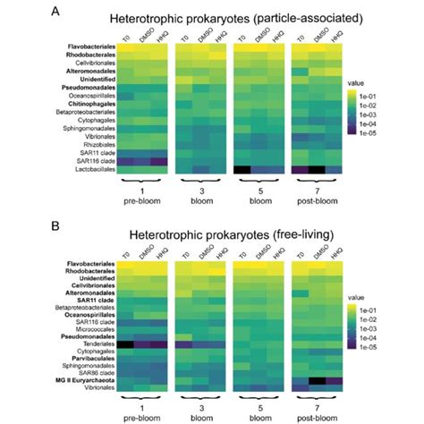 Nonmetric Multidimensional Scaling Ordination Displaying Microbial