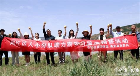 秦安县组织网红达人小分队开展助力白脆瓜销售活动图 天水在线