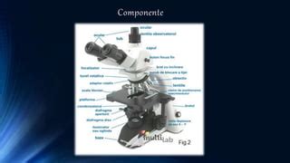 Microscopul Pptx