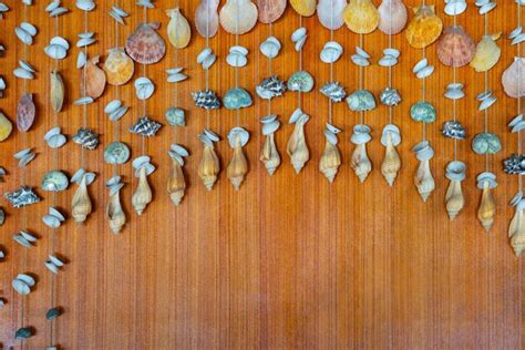 Premium Photo Directly Above Shot Of Shell Decorations On Table